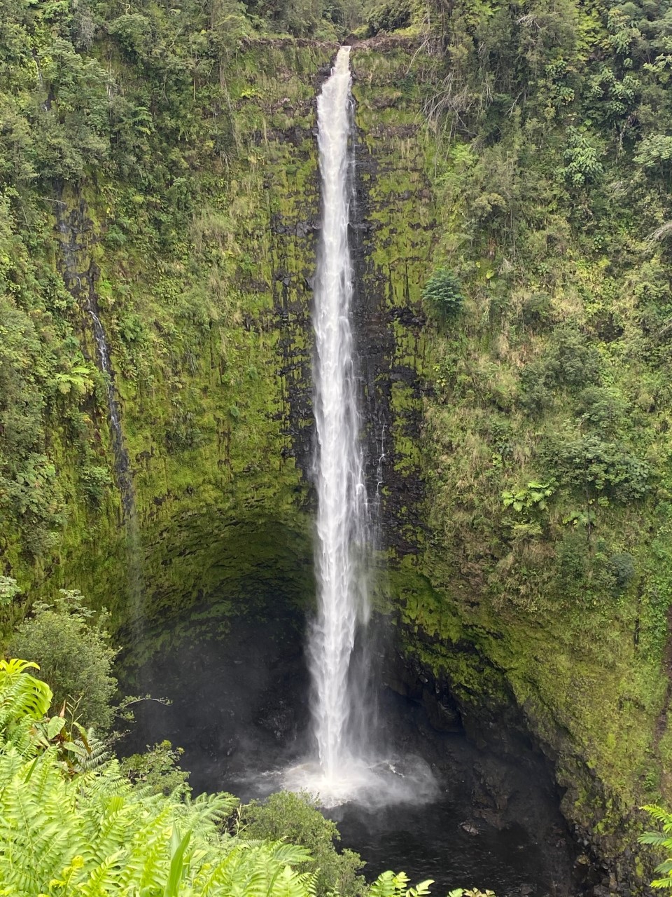 Chasing Waterfalls in Hawaii - Shared Adventures